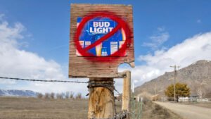 Why Did Budweiser Bud Light's Collaboration with a Trans Influencer ...